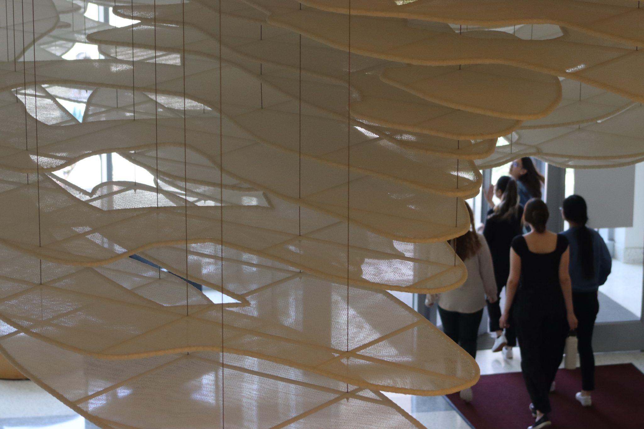 Undergraduate Research Assistants – GENES:IS Lab